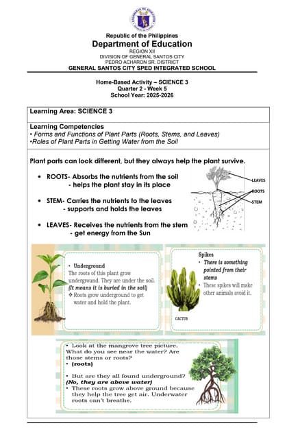 Science 3 parts and function of the plants | DOCX