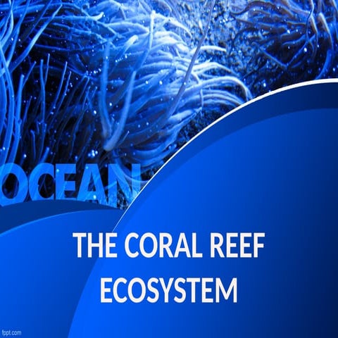 science 6 Q2 WK9 taking care of our CORAL REEFS.pptx