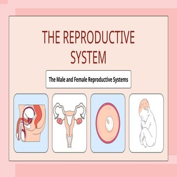 Human_Reproductive_System_Grade_7.pptx tutorial | PPTX