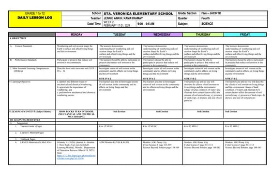 442219130-Lesson-Plan-about-Igneous-Rocks.docx
