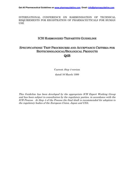 Q6 guidelines | PPTX