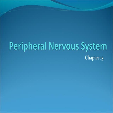 Chapter 13 peripheral Nervous System .ppt