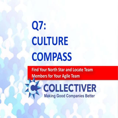 Q7 Culture Compass | PDF