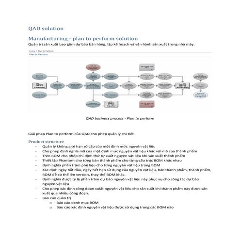 QAD solution (VN) | PDF