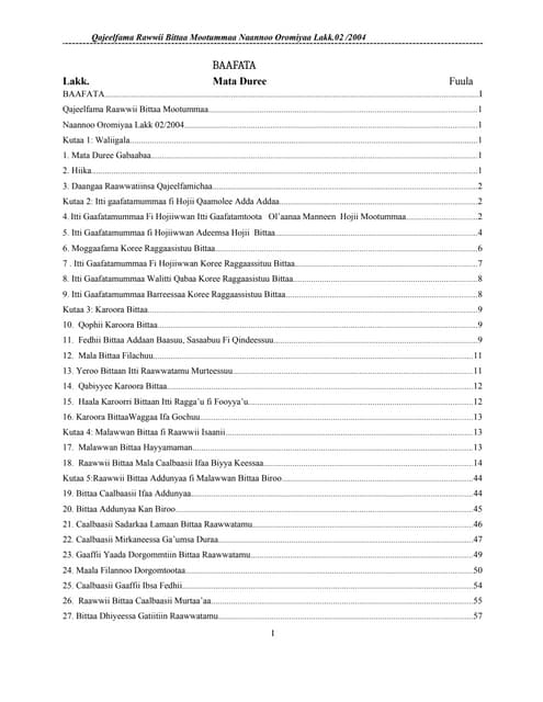 Hubannoo Dhabamsiisa Meeshalee MHM - Copy.pptx