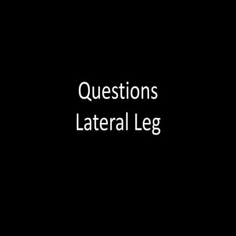 Questions; Lateral Leg | PPT