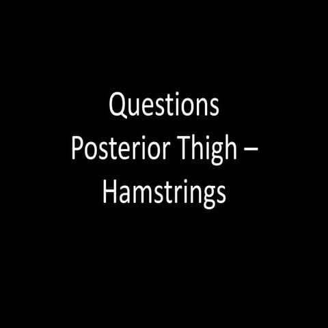 Questions: Posterior Thigh - Hamstrings | PPTX