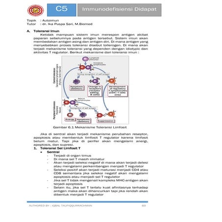 Discussion Notes 6 - Autoimun | PDF