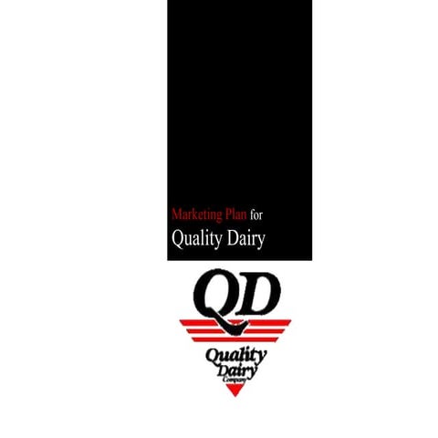 QD social media strategy | PPTX