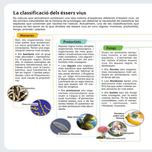 Classificació essers vius | PDF