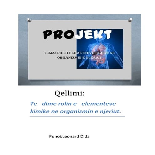 Projekt ne Kimi By Leo | DOCX