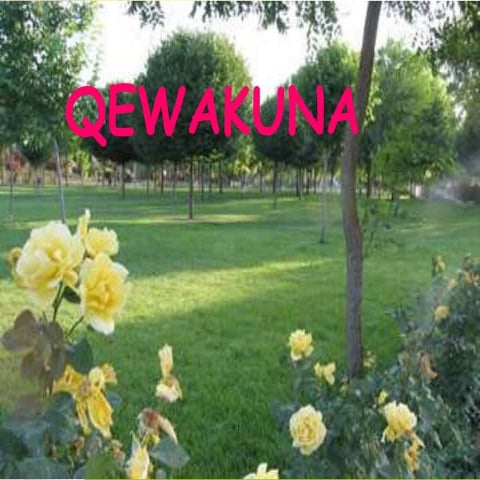 Qewa | PPTX