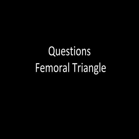 Exam Questions Femoral Triangle | PPT