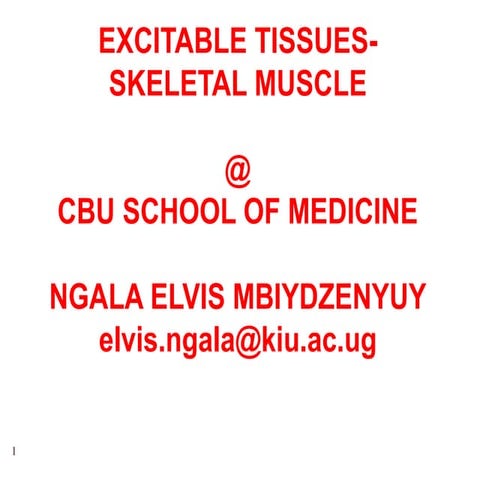 Excitable tissues skeletal_muscle | PPT