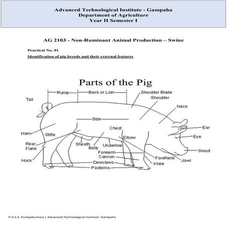 AG_2103_practical_01.pdf