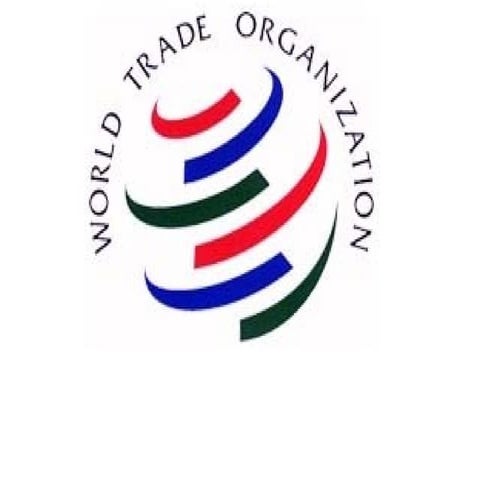 world trade organization ppt | PPT