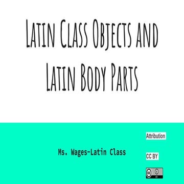 Wages Latin class objects&Latin body parts slide show lesson | PPTX