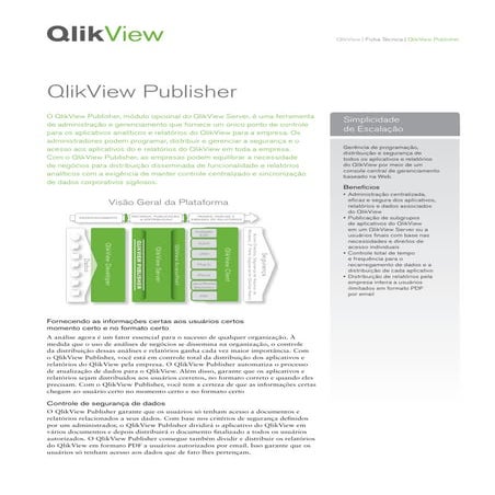 QlikView Publisher | PDF