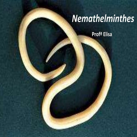 Nematelmintos | PPT