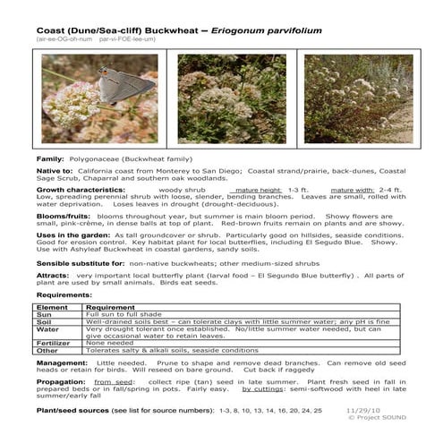 Gardening sheet juncus textilis | PDF