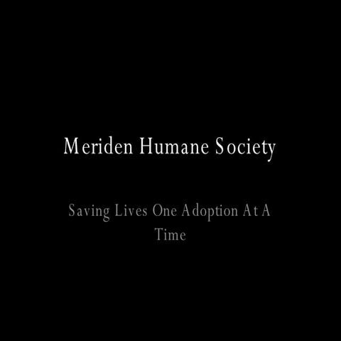 Meriden Humane Society | PPT