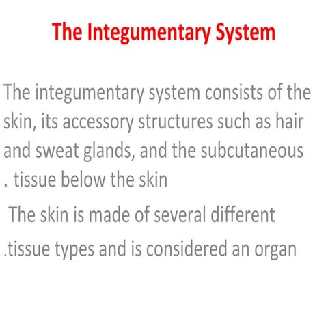 The integumentary system1 | PPT