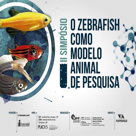 Physiological and behavioral markers of stress in zebrafish | PPTX