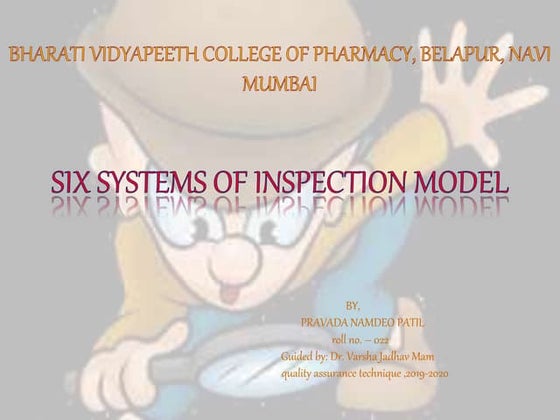 Six system inspection model | PDF