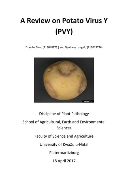 Potato virus Y (PVY) | PPTX