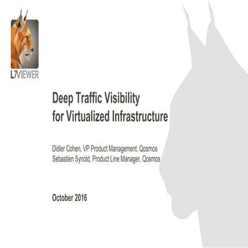 Deep Traffic Visibility for Virtualized Infrastructure | PPT