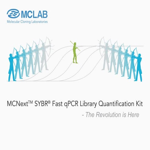 MCNext Sybr qPCR quantification Kit | PDF