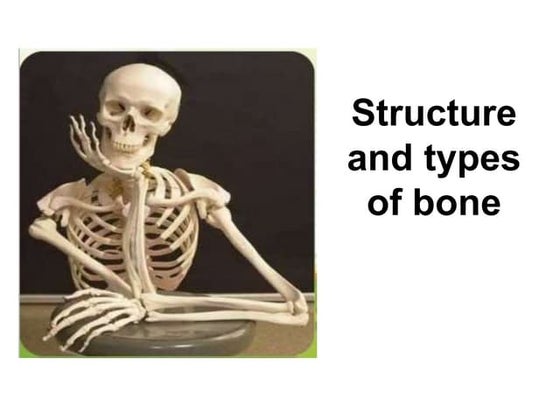 Classification of bones (anatomy) | PPT | Death, Injury, or Military ...