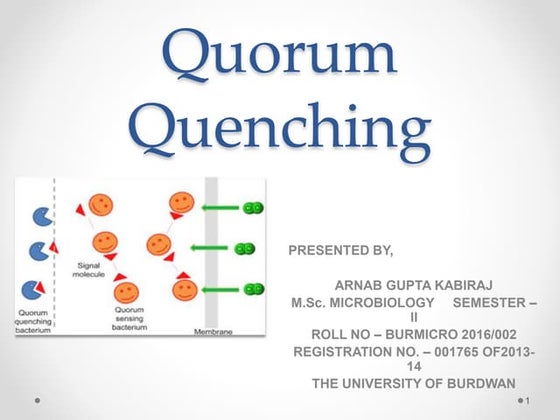 Quorum sensing in bacterial populations | PPT