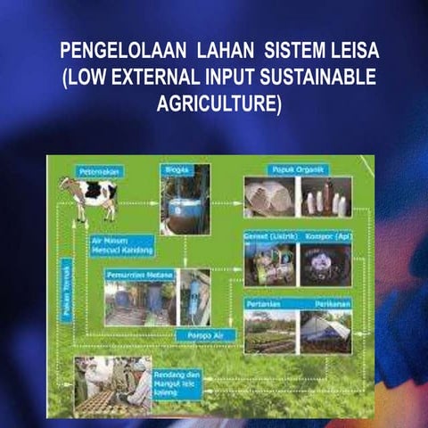 Pengelolaan leisa | PPT