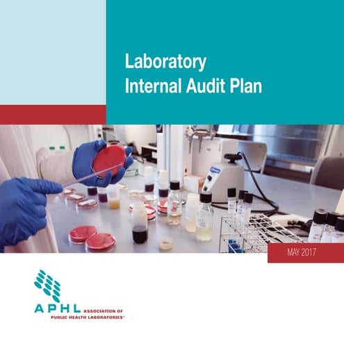 Laboratory audit ls | PDF