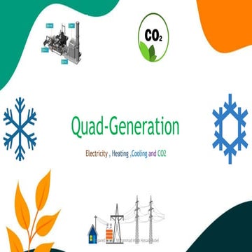 Quad Generation.pptx
