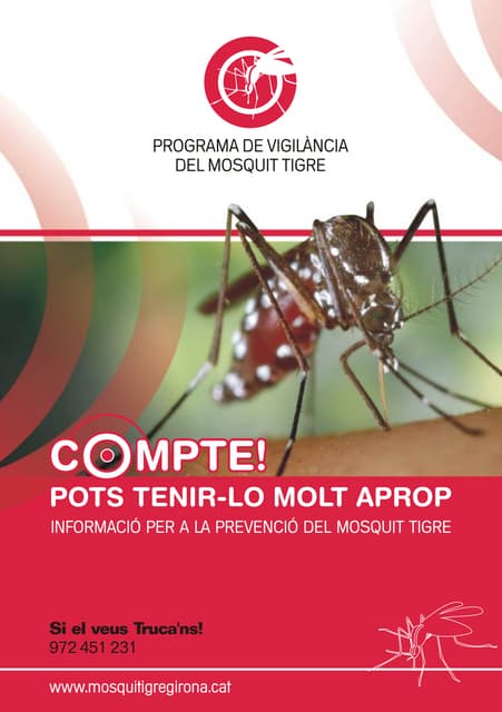 Aedes albopictus mosquit | PPTX