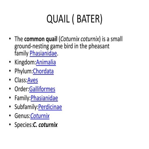 quail.pptx