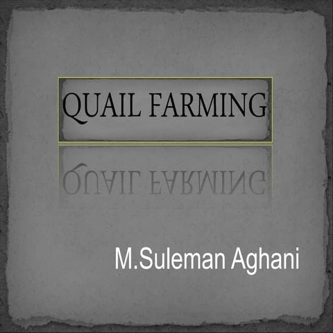 quail farming presentation is PPTX format | PPTX