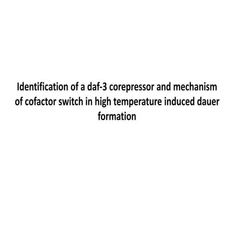 Mock Qualifying Exam | PPTX
