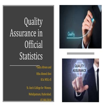 Quality assurance in official statistics | PPTX