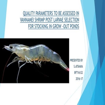 Quality parameters to be assessed in vannamei shrimp | PPTX