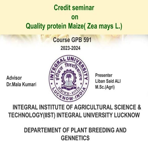Quality protein Of maize .pptx