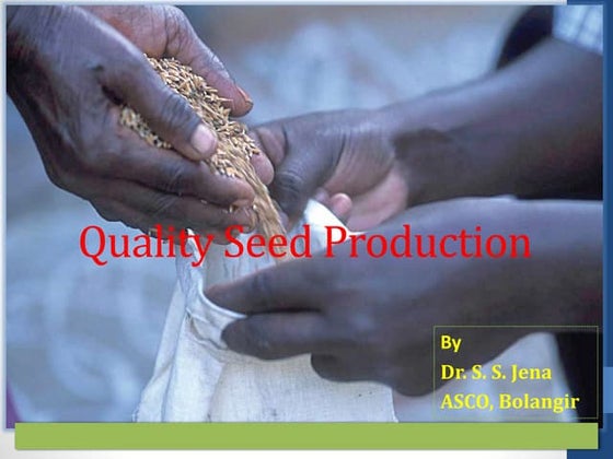 Seed orchard | PPTX | Agriculture | Industries
