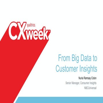 From Big Data to Customer Insights | PPTX
