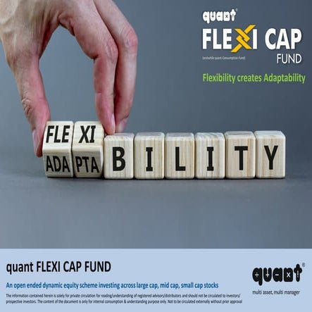 Quant Flexi Cap fund | PDF