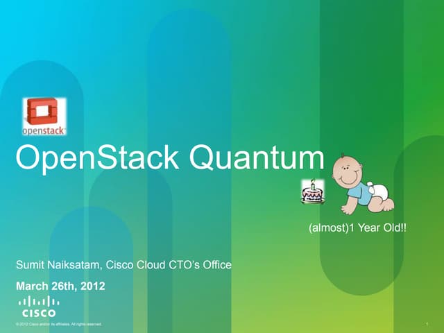 Network virtualization with open stack quantum