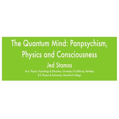 The Quantum Mind: Panpsychism, Physics, and Consciousness | KEY