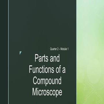 A complete list of Physics Laboratory Equipment.docx