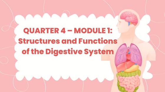 Grade 8 Science Module 1 4th Quarter Digestive system | PDF